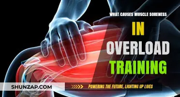 Midsection Muscle Soreness: Causes And Remedies For Abdominal Pain ...