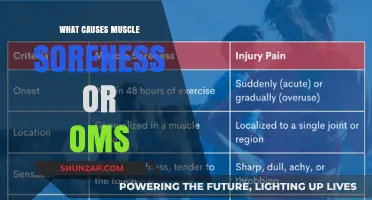 Midsection Muscle Soreness: Causes And Remedies For Abdominal Pain ...