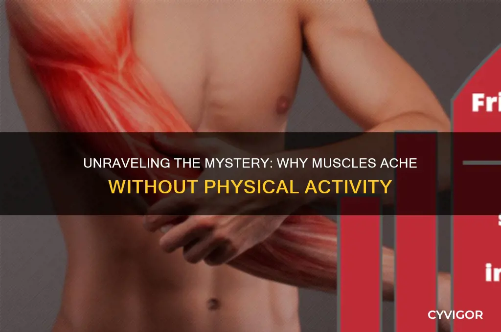Unraveling The Mystery: Why Muscles Ache Without Physical Activity ...
