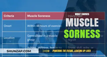 Understanding Muscle Soreness: Causes, Prevention, And Recovery Tips ...