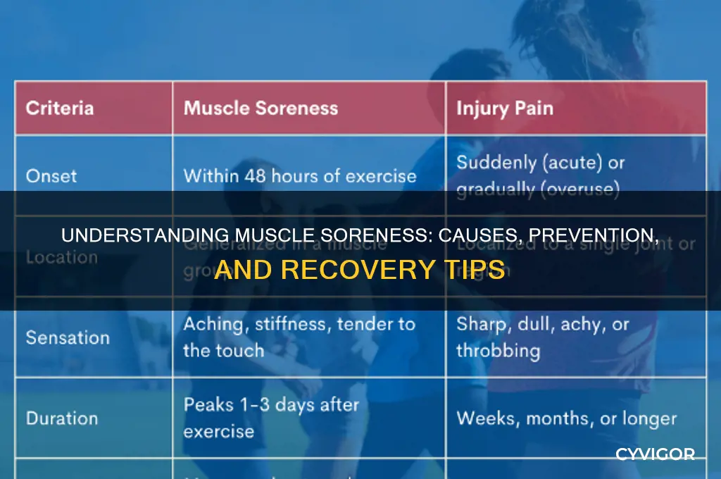 Understanding Muscle Soreness: Causes, Prevention, And Recovery Tips ...