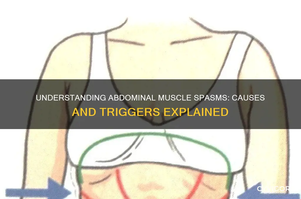 Understanding Abdominal Muscle Spasms: Causes And Triggers Explained ...