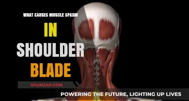 Understanding Neck Muscle Spasms: Common Causes And Triggers Explained ...