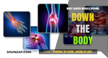 Nighttime Back Muscle Spasms: Causes And Relief Strategies Explained ...