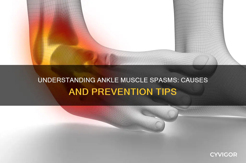 Understanding Ankle Muscle Spasms: Causes And Prevention Tips | CyVigor