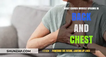 Nighttime Back Muscle Spasms: Causes And Relief Strategies Explained ...