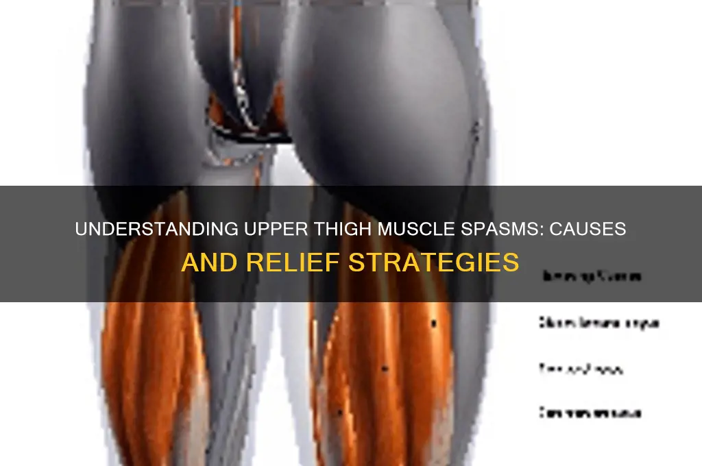 Understanding Upper Thigh Muscle Spasms: Causes And Relief Strategies ...