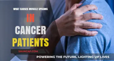 Understanding Ankle Muscle Spasms: Causes And Prevention Tips | CyVigor