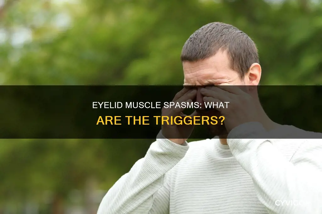 Eyelid Muscle Spasms: What Are The Triggers? | CyVigor