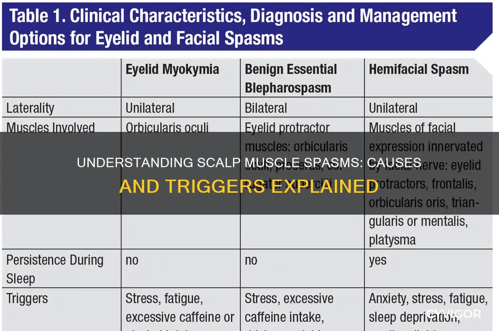 Understanding Scalp Muscle Spasms: Causes And Triggers Explained | CyVigor