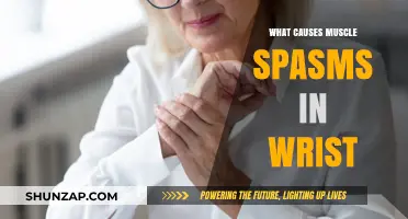 Understanding Scalp Muscle Spasms: Causes And Triggers Explained | CyVigor
