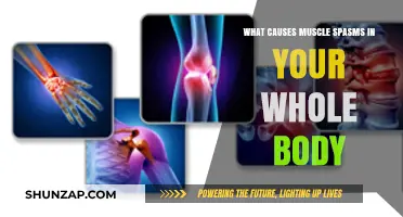 Forehead Muscle Spasms: Causes, Triggers, And Relief Explained | CyVigor