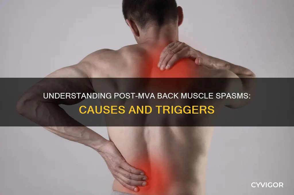 Understanding Post-Mva Back Muscle Spasms: Causes And Triggers | CyVigor
