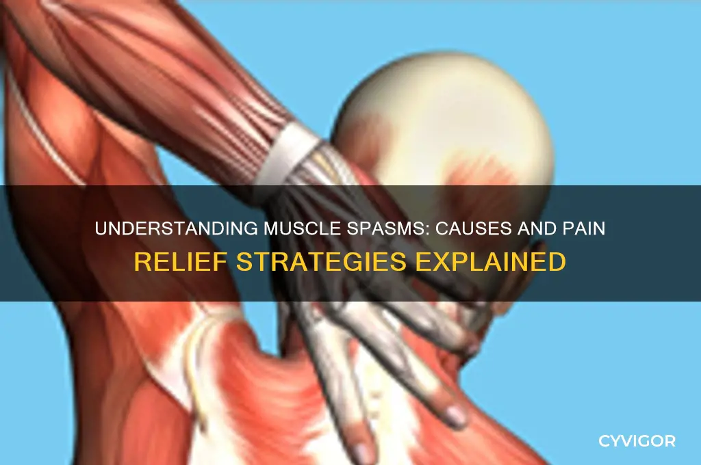 Understanding Muscle Spasms: Causes And Pain Relief Strategies ...