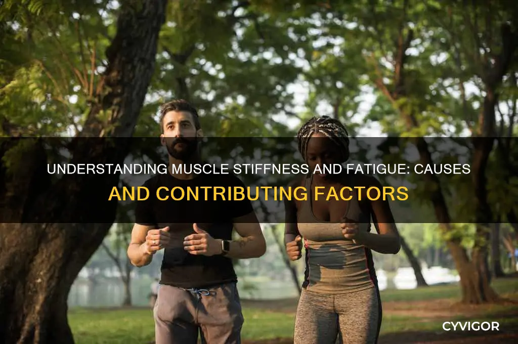 Understanding Muscle Stiffness And Fatigue: Causes And Contributing ...