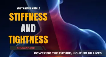 Why Muscles Tighten: Unraveling Post-Sitting Stiffness Causes And ...