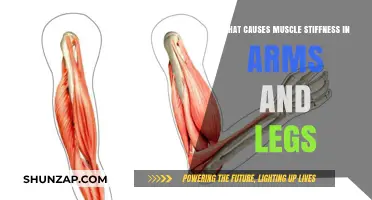 Aging And Muscle Stiffness: Understanding Causes And Solutions | CyVigor