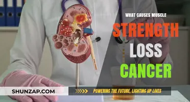 Understanding Muscle Tumors: What You Need To Know | CyVigor