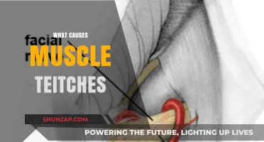 Understanding Facial Muscle Tension: Causes And Effective Relief ...