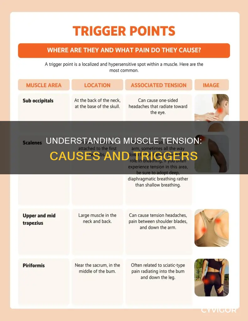 Understanding Muscle Tension: Causes And Triggers | CyVigor