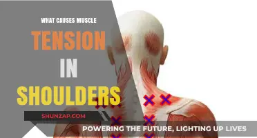 Understanding Head Muscle Tension: Causes And Triggers Explained | CyVigor