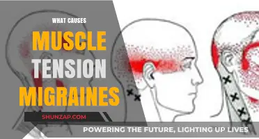 Understanding Facial Muscle Tension: Causes And Effective Relief ...