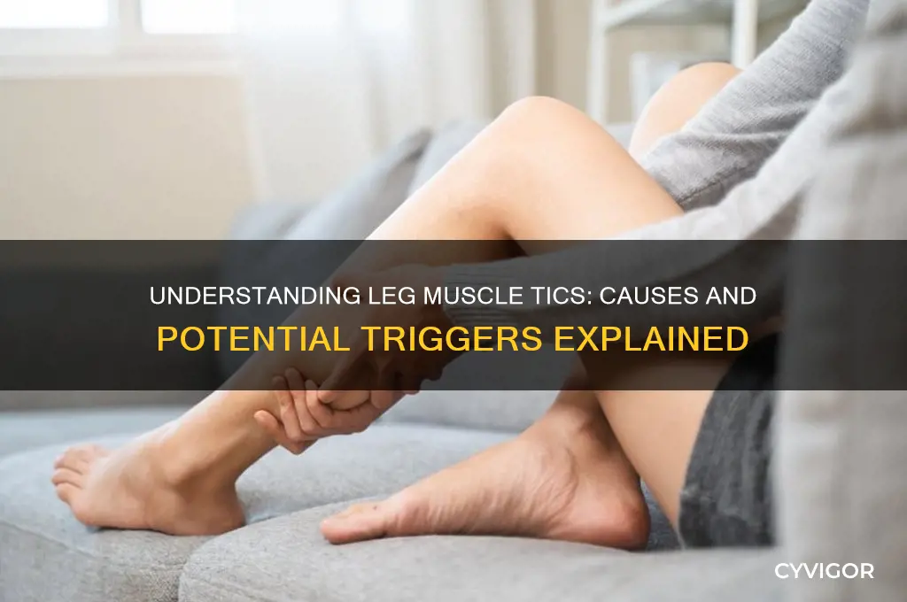 Understanding Leg Muscle Tics: Causes And Potential Triggers Explained ...