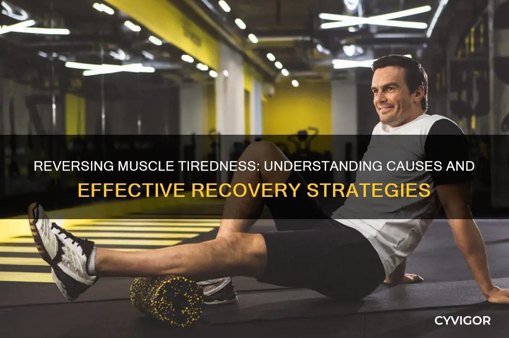 Reversing Muscle Tiredness: Understanding Causes And Effective Recovery ...