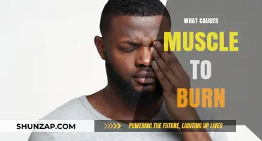 Understanding Muscle Detachment: Causes Of Muscle Separation From Bone ...