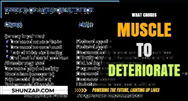 Understanding Muscle Spasms: Causes, Triggers, And Prevention ...