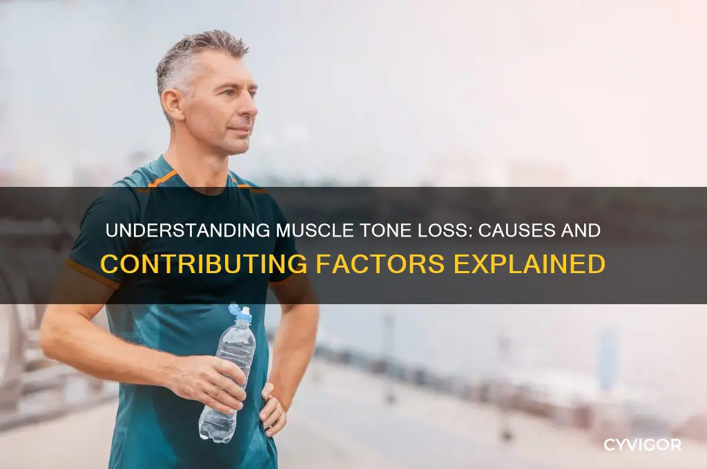 Understanding Muscle Tone Loss: Causes And Contributing Factors ...