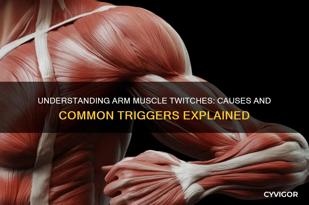 Understanding Arm Muscle Twitches: Causes And Common Triggers Explained ...
