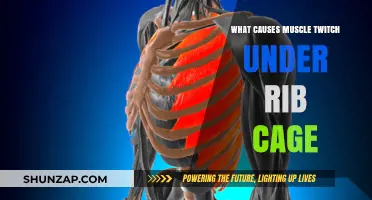 Understanding Muscle Twitches: Causes Of Body-Wide Twitching Explained ...