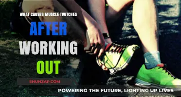Understanding Muscle Twitches: Causes Of Body-Wide Twitching Explained ...
