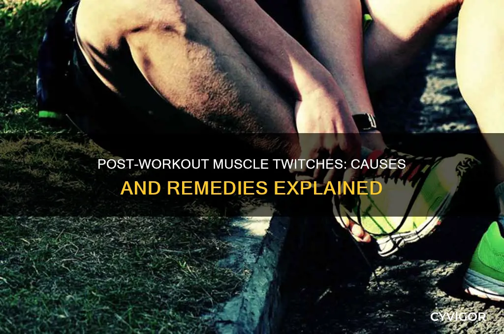 Post-Workout Muscle Twitches: Causes And Remedies Explained | CyVigor
