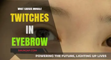 Understanding Lip Muscle Twitches: Causes And Potential Triggers ...