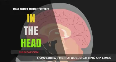 Postmortem Muscle Twitching: Understanding The Causes After Death | CyVigor