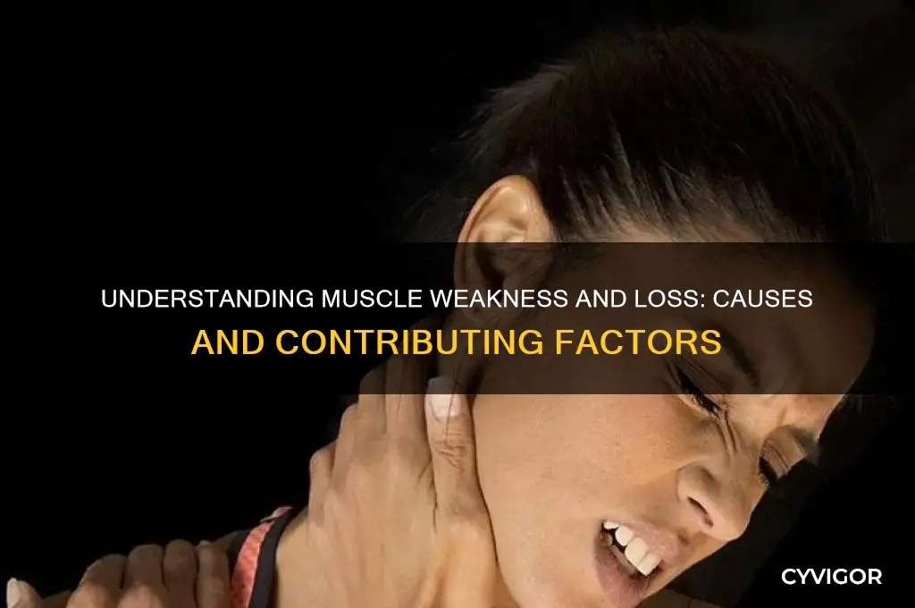 Understanding Muscle Weakness And Loss: Causes And Contributing Factors ...