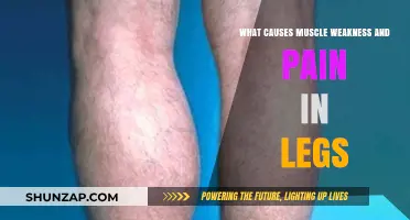 Understanding Muscle Weakness And Soreness In Aging Adults: Causes ...