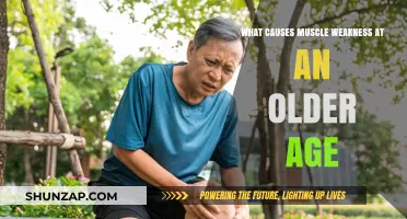 Understanding Muscle Weakness And Soreness In Aging Adults: Causes ...