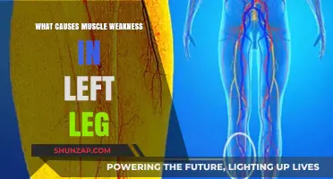 Understanding Hip Muscle Weakness: Causes And Contributing Factors ...
