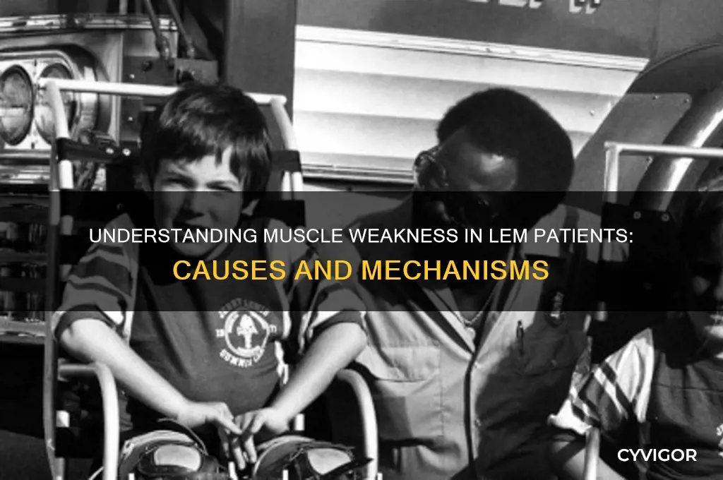 Understanding Muscle Weakness In Lem Patients: Causes And Mechanisms ...
