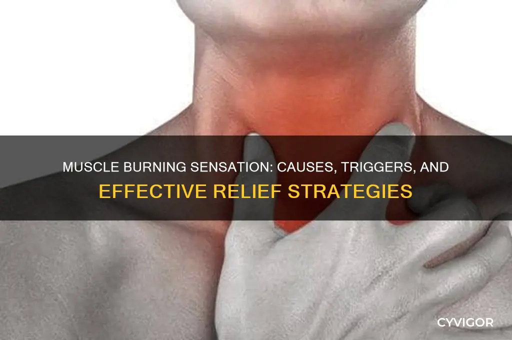Muscle Burning Sensation: Causes, Triggers, And Effective Relief ...