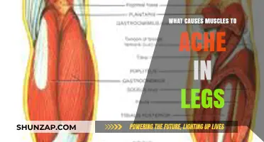 Understanding Pelvic Floor Muscle Spasms: Causes And Triggers Explained ...