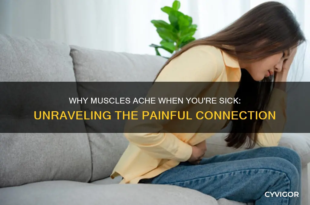 Why Muscles Ache When You're Sick: Unraveling The Painful Connection ...