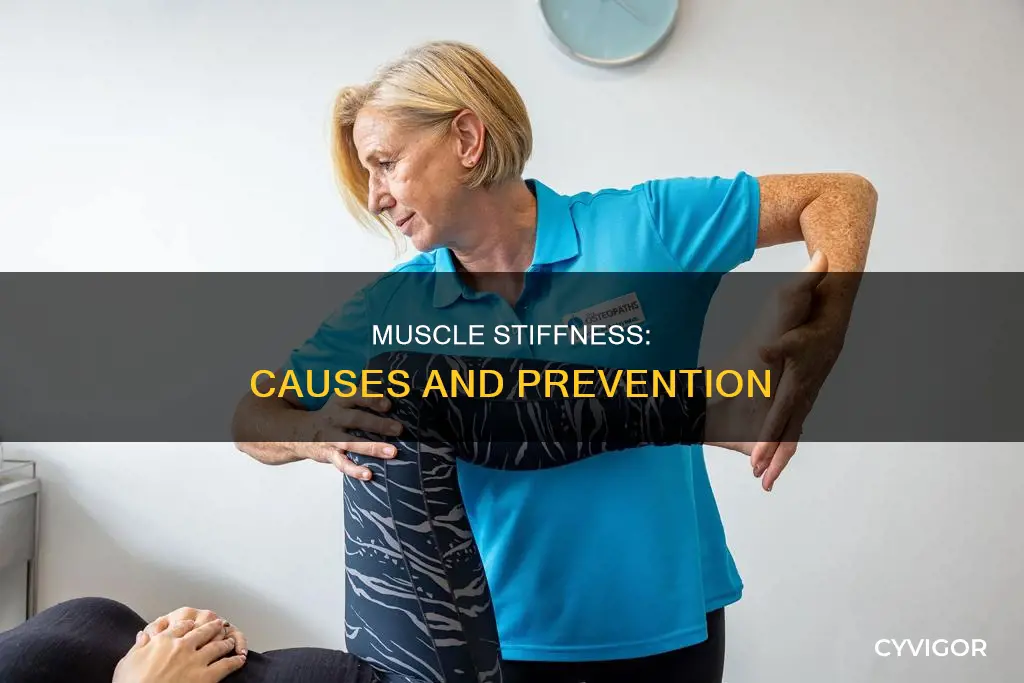 Muscle Stiffness: Causes And Prevention | CyVigor