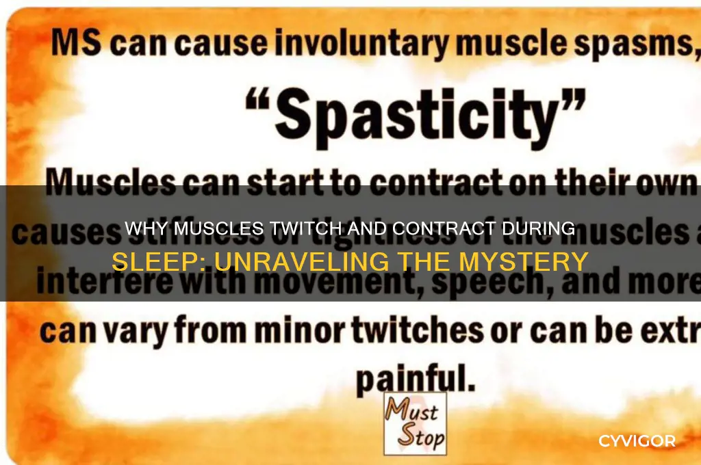 Why Muscles Twitch And Contract During Sleep: Unraveling The Mystery ...