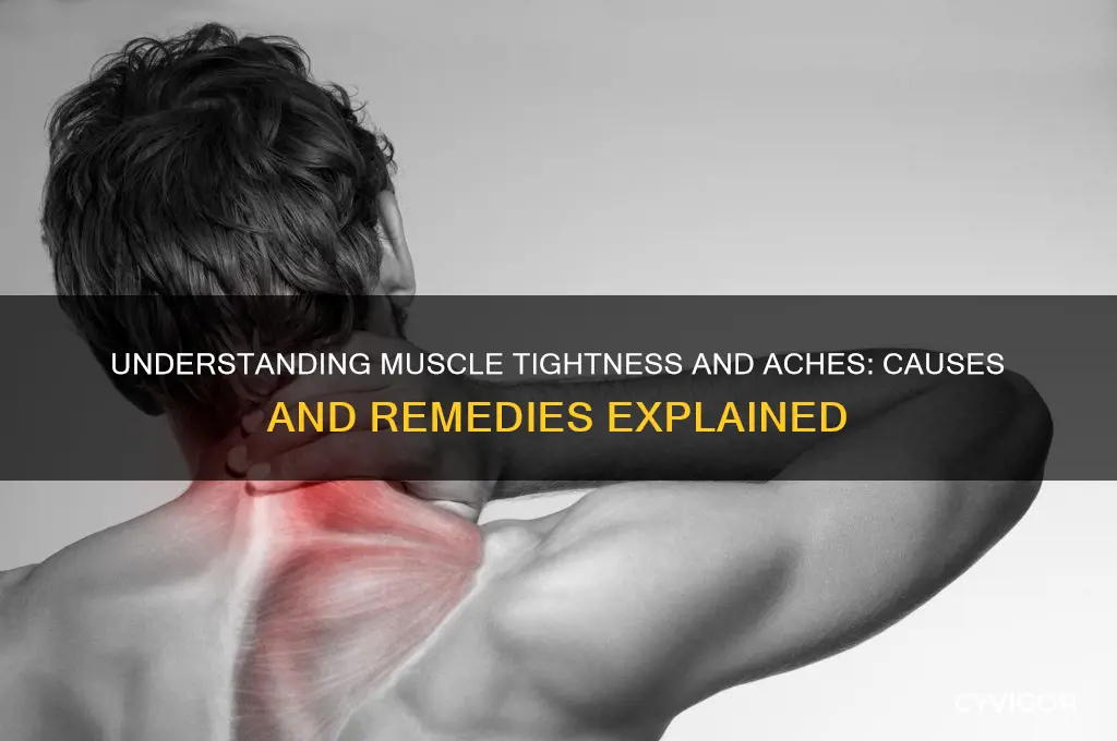 Understanding Muscle Tightness And Aches: Causes And Remedies Explained ...