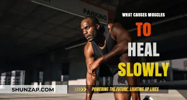 Understanding Ropey Muscles: Causes And Factors Behind Their Appearance ...