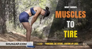 Why Do Calf Muscles Cramp At Night? Causes And Solutions | CyVigor